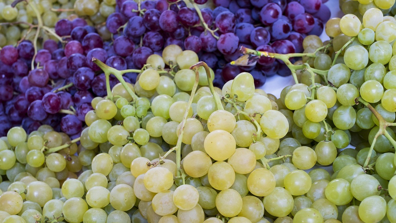 Growth in Global Table Grape Production Forecast for 2023/24 | Produce Report